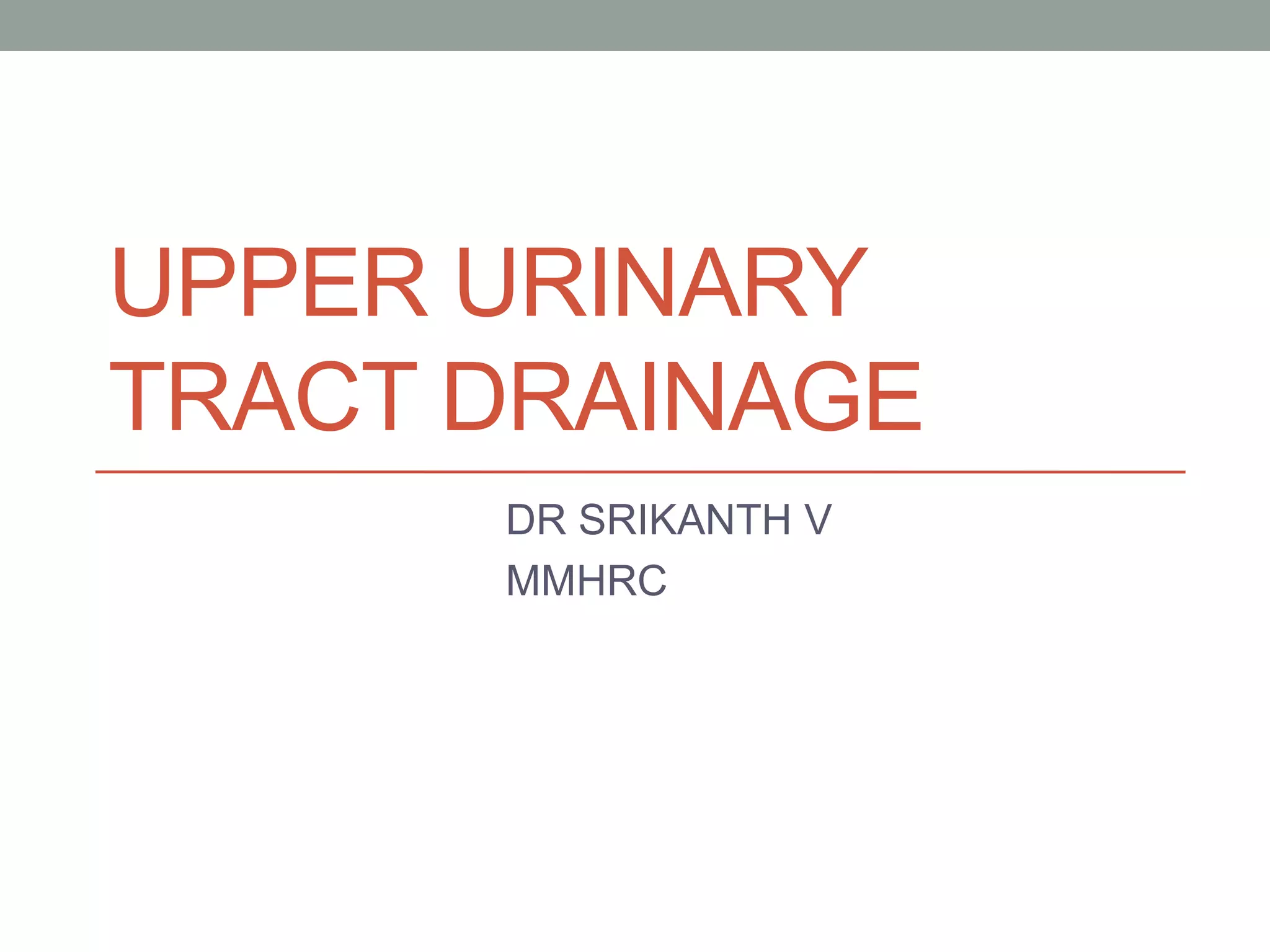 Upper urinary tract drainage | PPTX