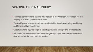 Urology Trauma | PPTX