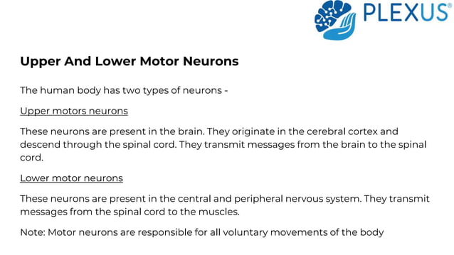 Upper vs Lower Motor Neurom Diseases.pptx
