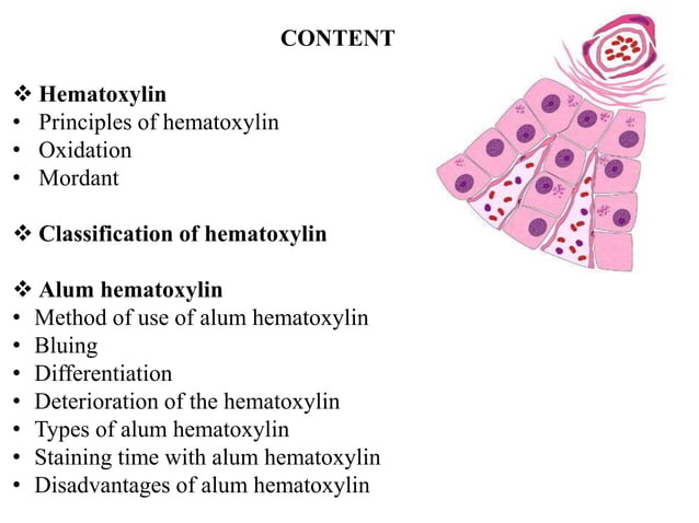 hematoxylin and eosin stains | PPT