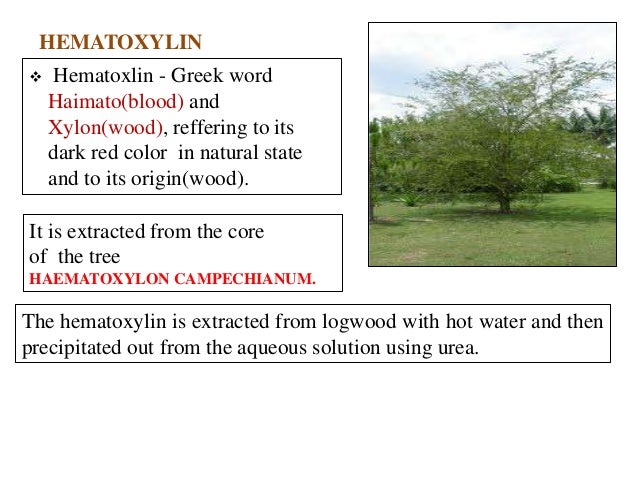hematoxylin and eosin stains