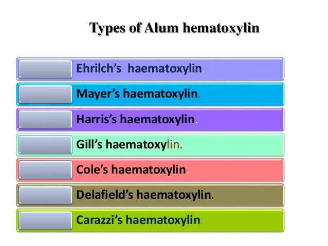 hematoxylin and eosin stains