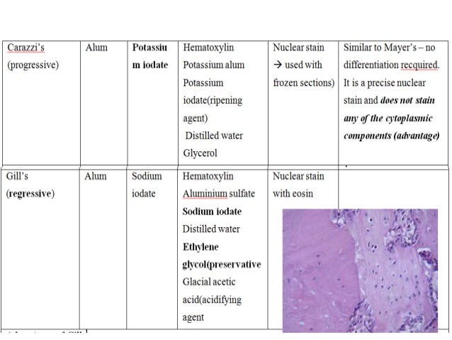 hematoxylin and eosin stains