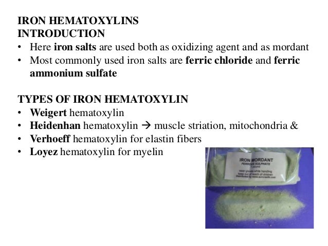 hematoxylin and eosin stains