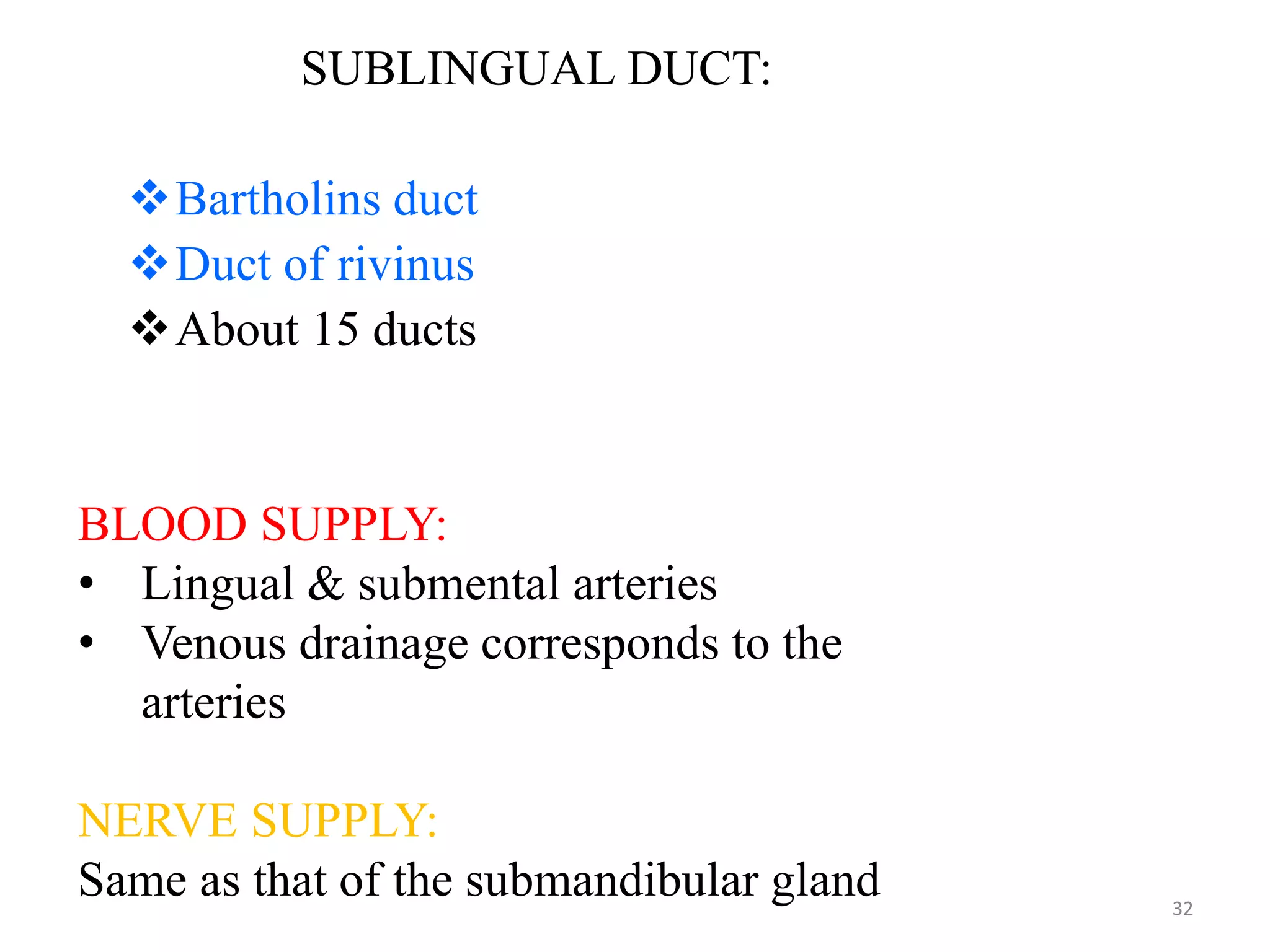 salivary glands | PPTX