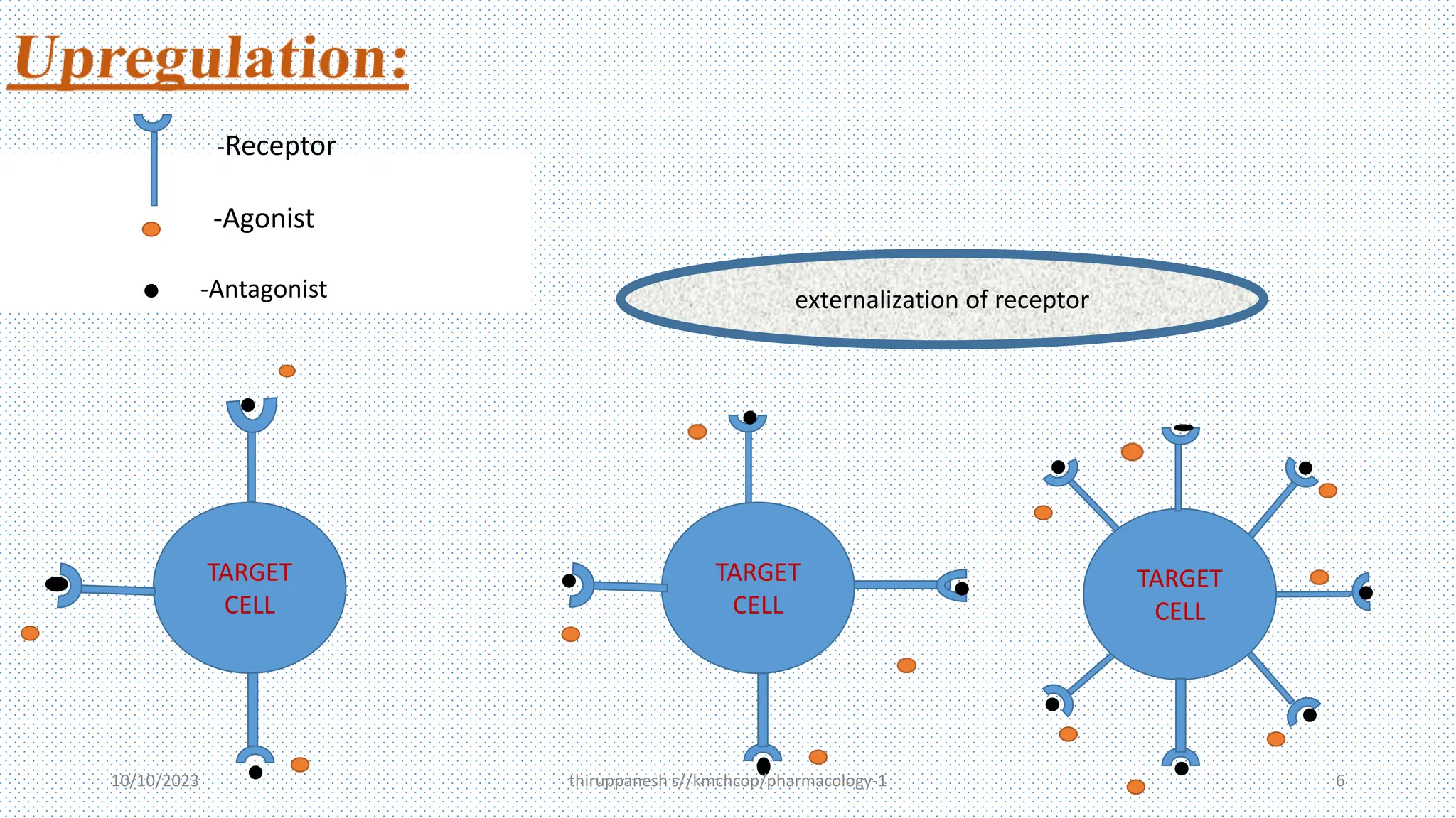 upregulation and downregulation.pptx