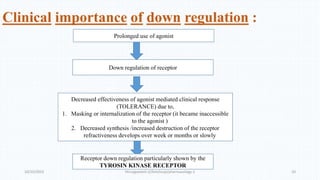 upregulation and downregulation.pptx | Lung and Respiratory Health ...