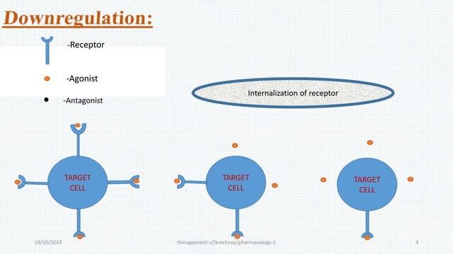 upregulation and downregulation.pptx | Lung and Respiratory Health ...