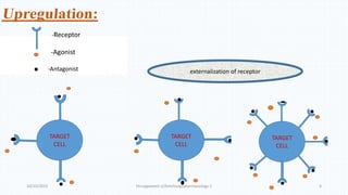 upregulation and downregulation.pptx | Lung and Respiratory Health ...