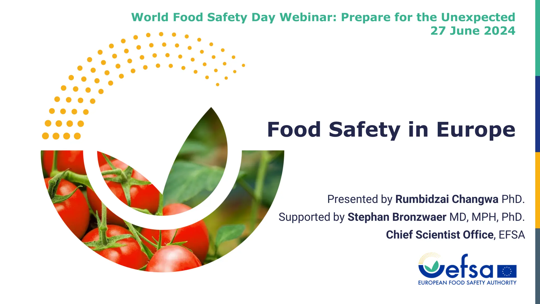 Food Safety in Europe - WFSD webinar.pdf
