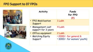 Upscaling Collectivization - CBP FPO DO.ppt