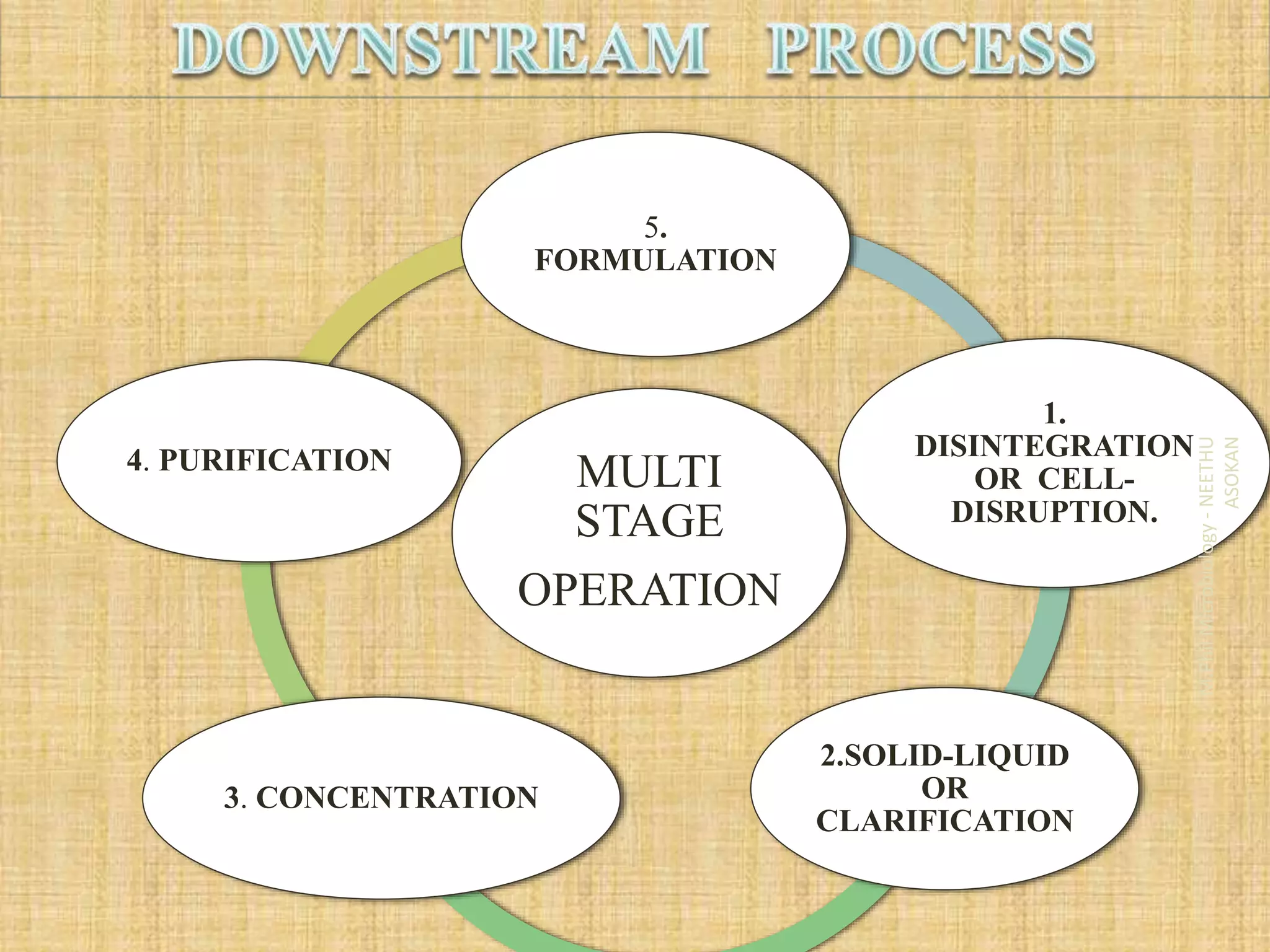 Upstream and down stream process | PPTX