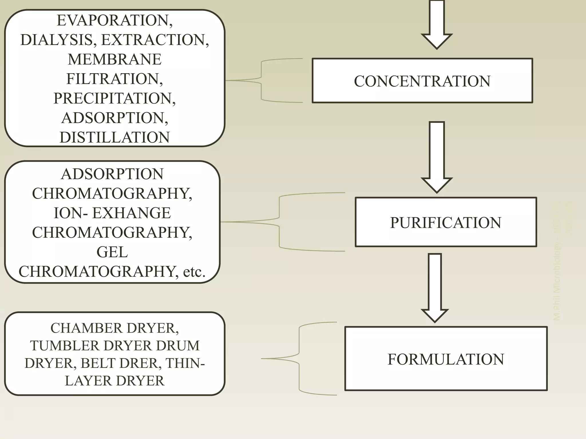 Upstream and down stream process | PPTX | Chemistry | Science