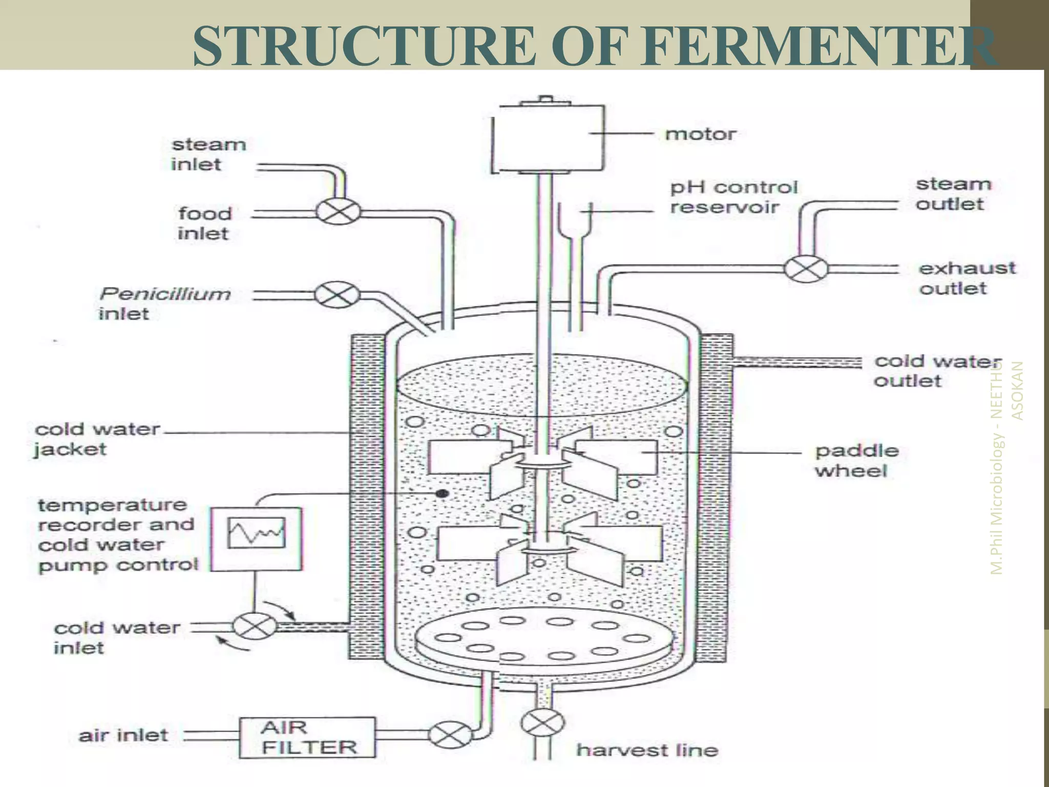 Upstream and down stream process | PPTX