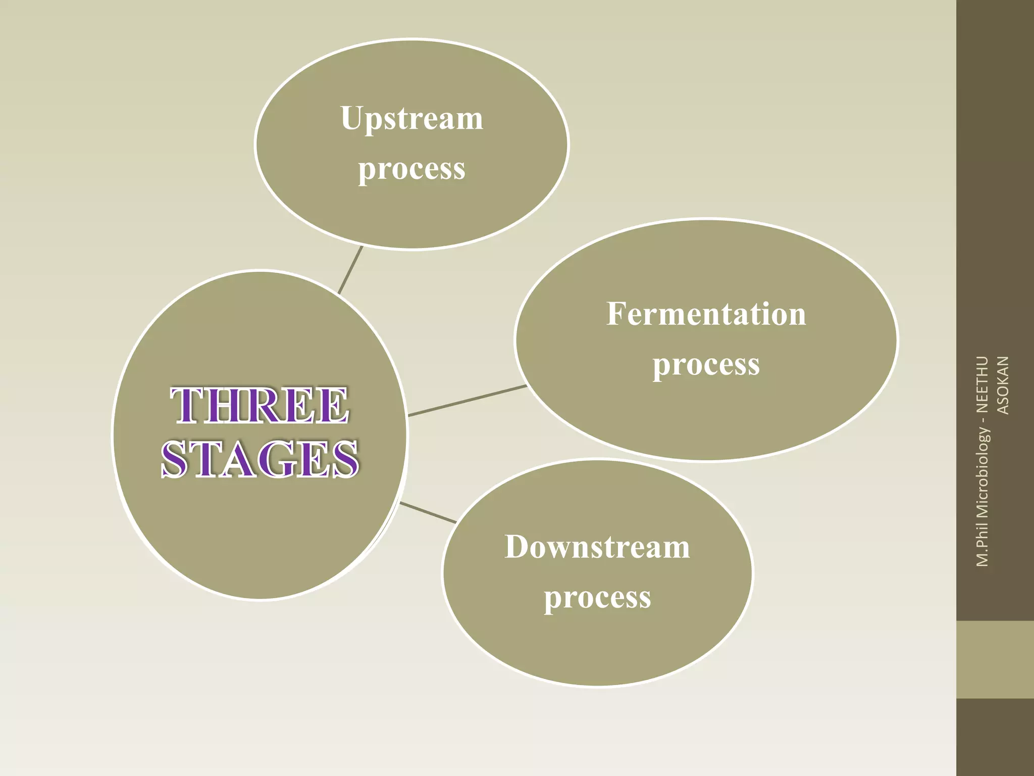 Upstream and down stream process | PPTX | Chemistry | Science