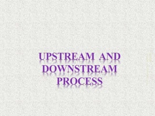 Upstream and down stream process | PPTX