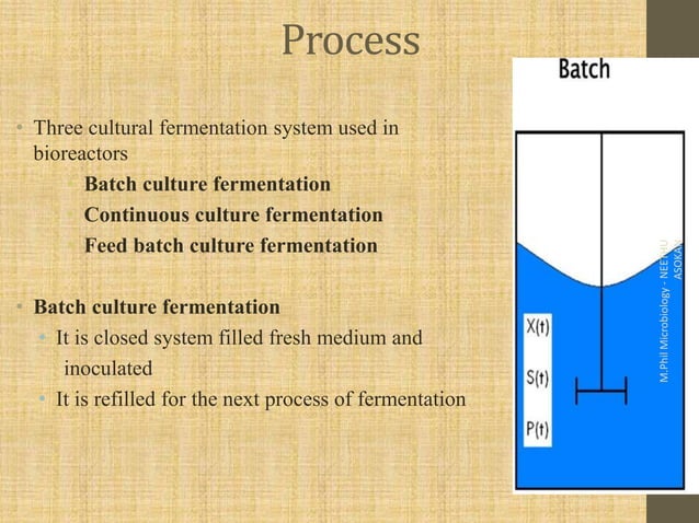 Upstream and down stream process | PPTX | Chemistry | Science