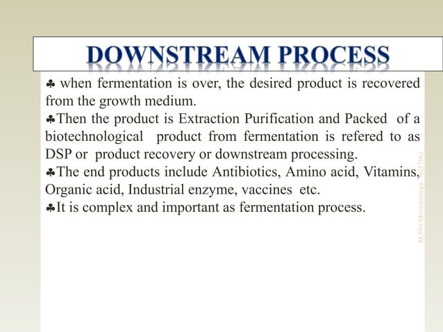 Upstream and down stream process | PPTX | Chemistry | Science