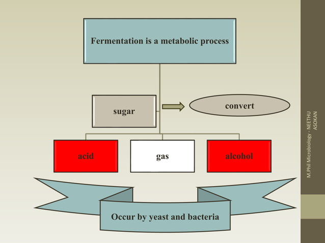 Upstream and down stream process | PPTX | Chemistry | Science