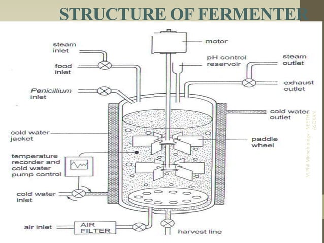 Upstream and down stream process | PPTX | Chemistry | Science