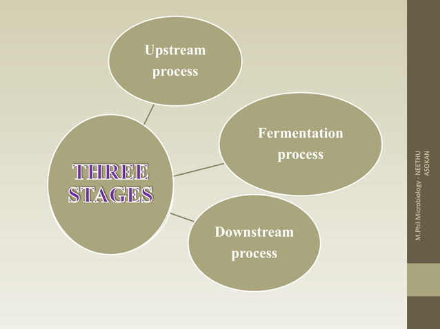 Upstream and down stream process | PPTX | Chemistry | Science
