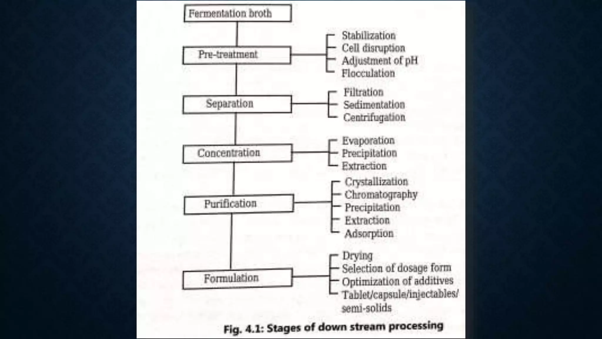 Upstream and Downstream process.pptx.pptx