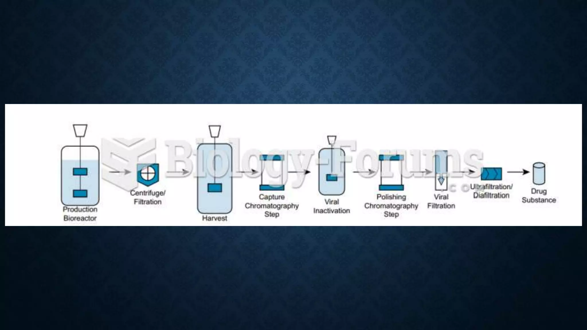 Upstream and Downstream process.pptx.pptx
