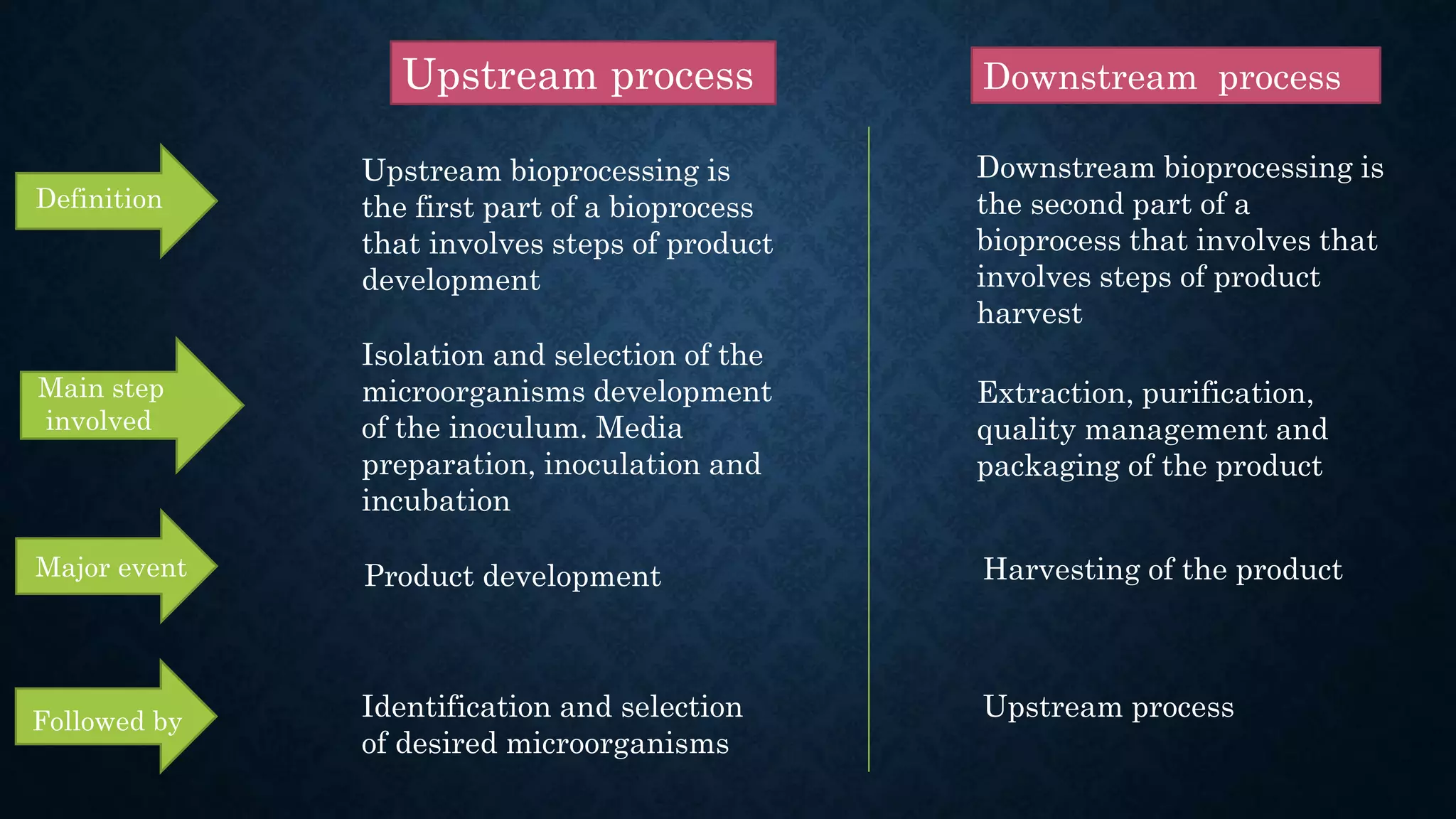 Upstream and Downstream process.pptx.pptx