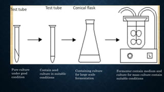Upstream and Downstream process.pptx.pptx