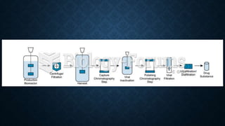 Upstream and Downstream process.pptx.pptx