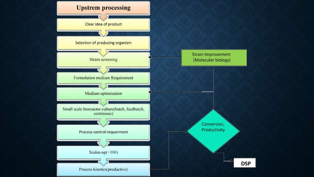 Upstream and Downstream process.pptx.pptx