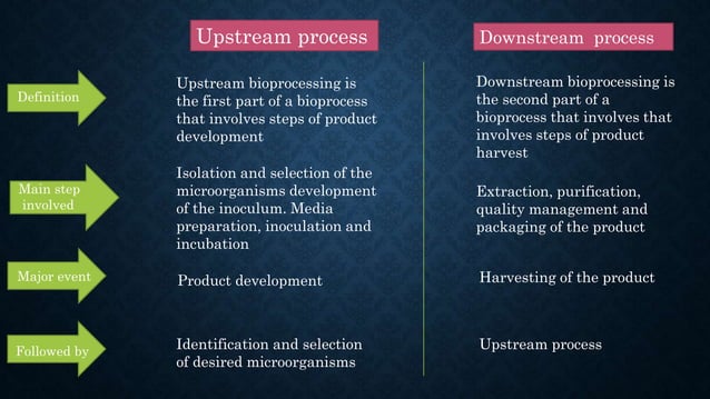 Upstream and Downstream process.pptx.pptx
