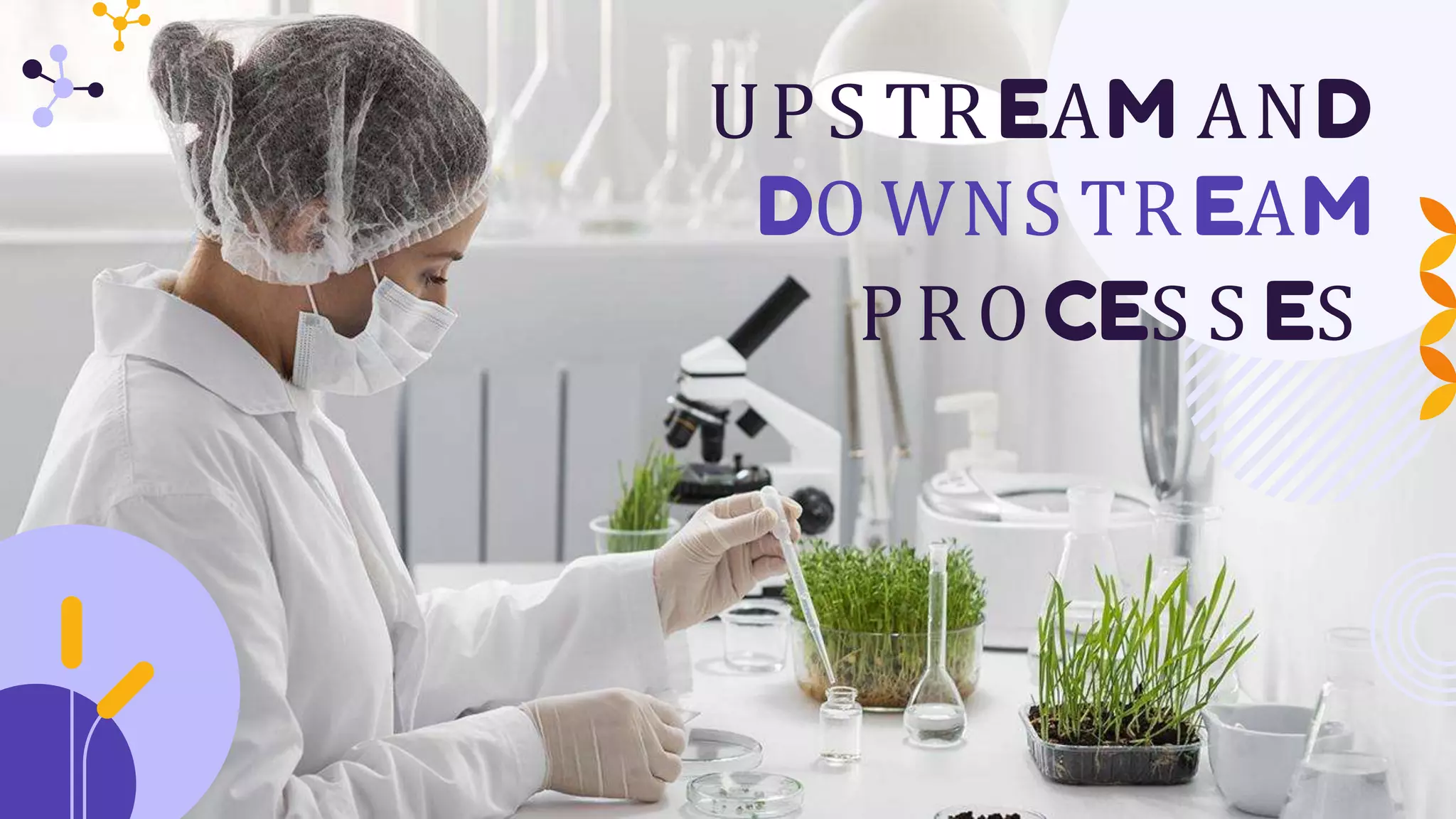 Upstream and Downstream Processes.pptx