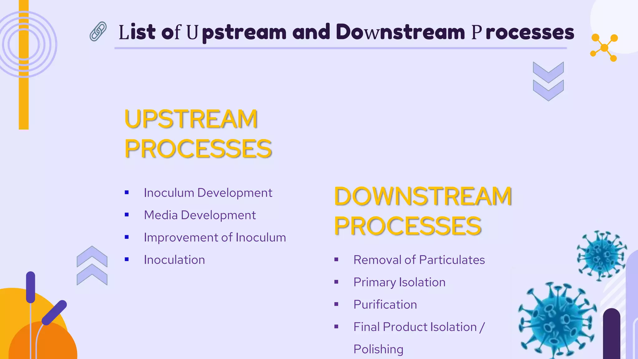 Upstream and Downstream Processes.pptx