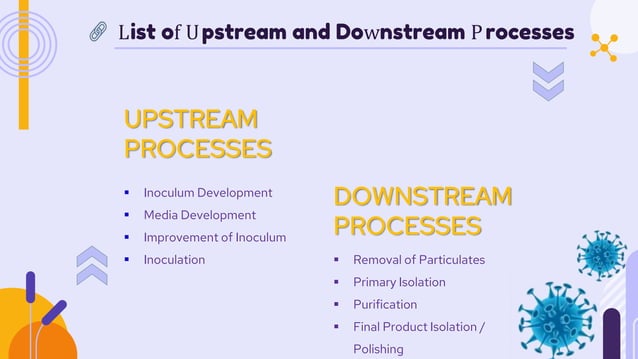 Upstream and Downstream Processes.pptx | Games and Puzzles | Hobbies ...