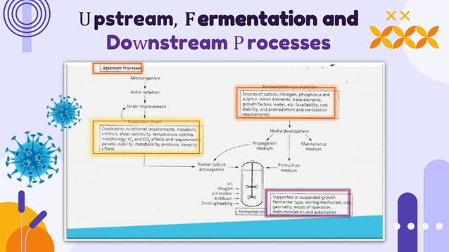 Upstream and Downstream Processes.pptx | Games and Puzzles | Hobbies ...