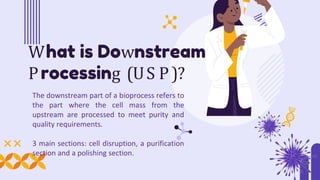 Upstream and Downstream Processes.pptx
