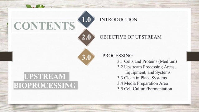Upstream Processing | PPTX