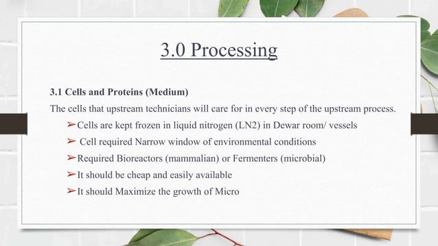 Upstream Processing | PPTX