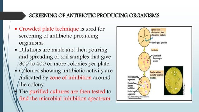 Upstream processing | PPTX | Chemistry | Science