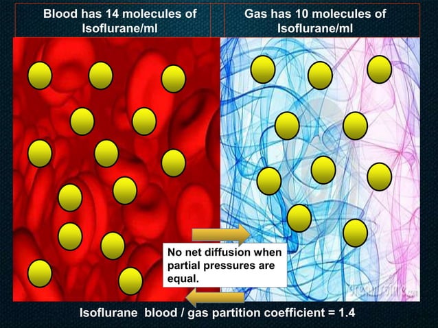 Uptake and distribution of inhaled anesthetic | PPTX