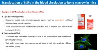 Uptake and Translocation of NPs in Neuron and Bloodstream.pptx