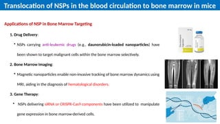 Uptake and Translocation of NPs in Neuron and Bloodstream.pptx