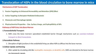 Uptake and Translocation of NPs in Neuron and Bloodstream.pptx