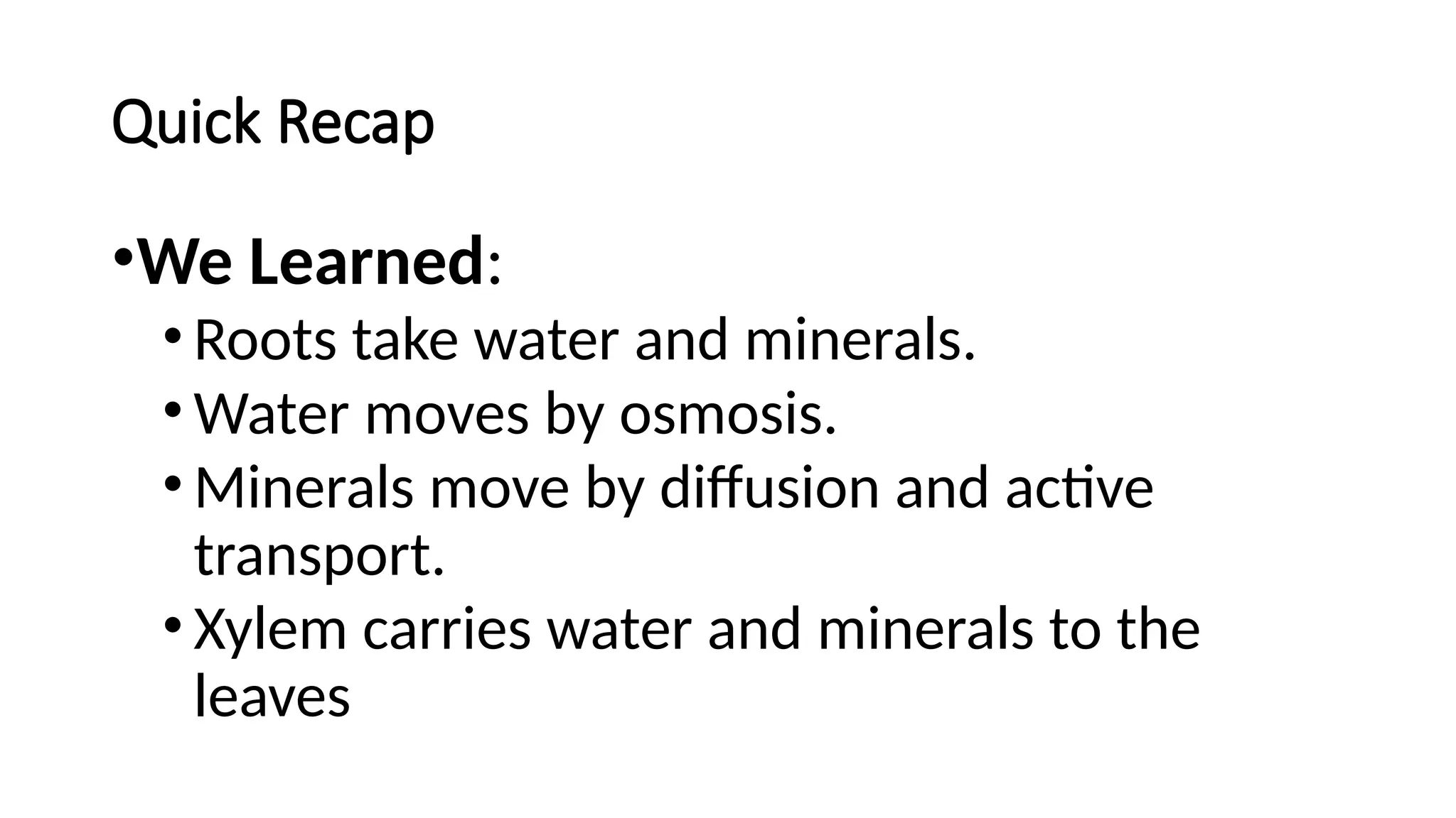 Uptake of water and minerals by roots_091316.pptx