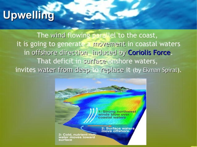 Upwelling | PPT