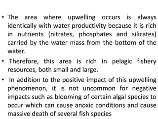 Upwelling for productivity and fisheries by B.pptx