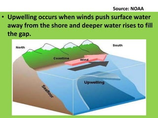 Upwelling for productivity and fisheries by B.pptx