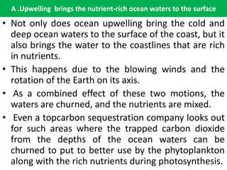 Upwelling for productivity and fisheries by B.pptx