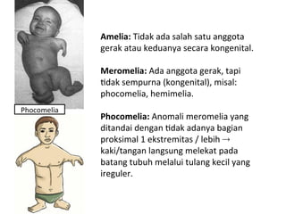 Upper and Lower Limbs Clinically Oriented Anatomy | PPT